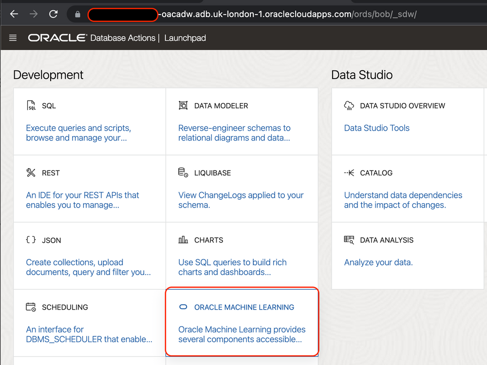 Oracle AutoML UI at a glance