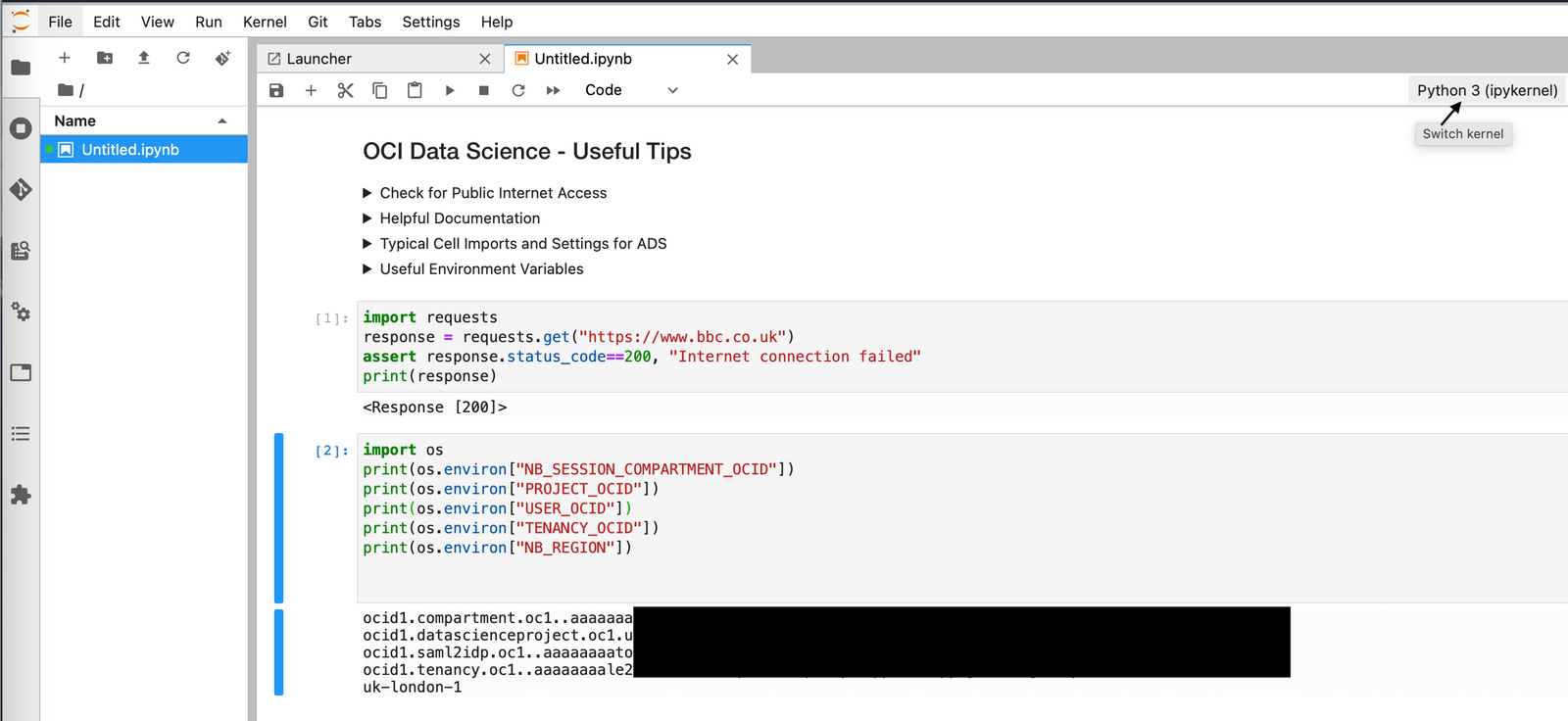 Introduction to Oracle Data Science Service | Part 1