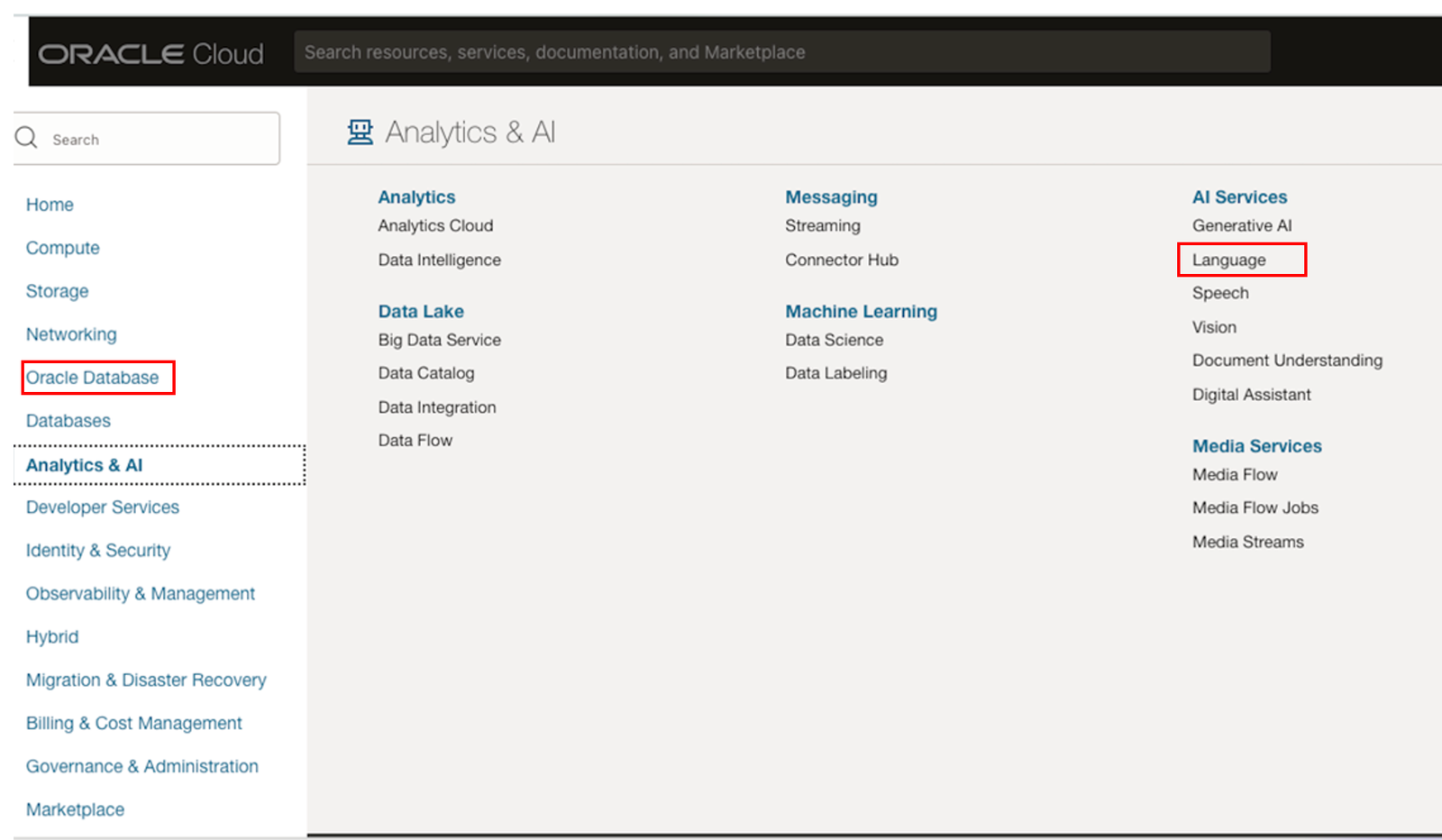 Detecting & Masking Personal Identifiable Information: Using OCI Language Model & Oracle Analytics